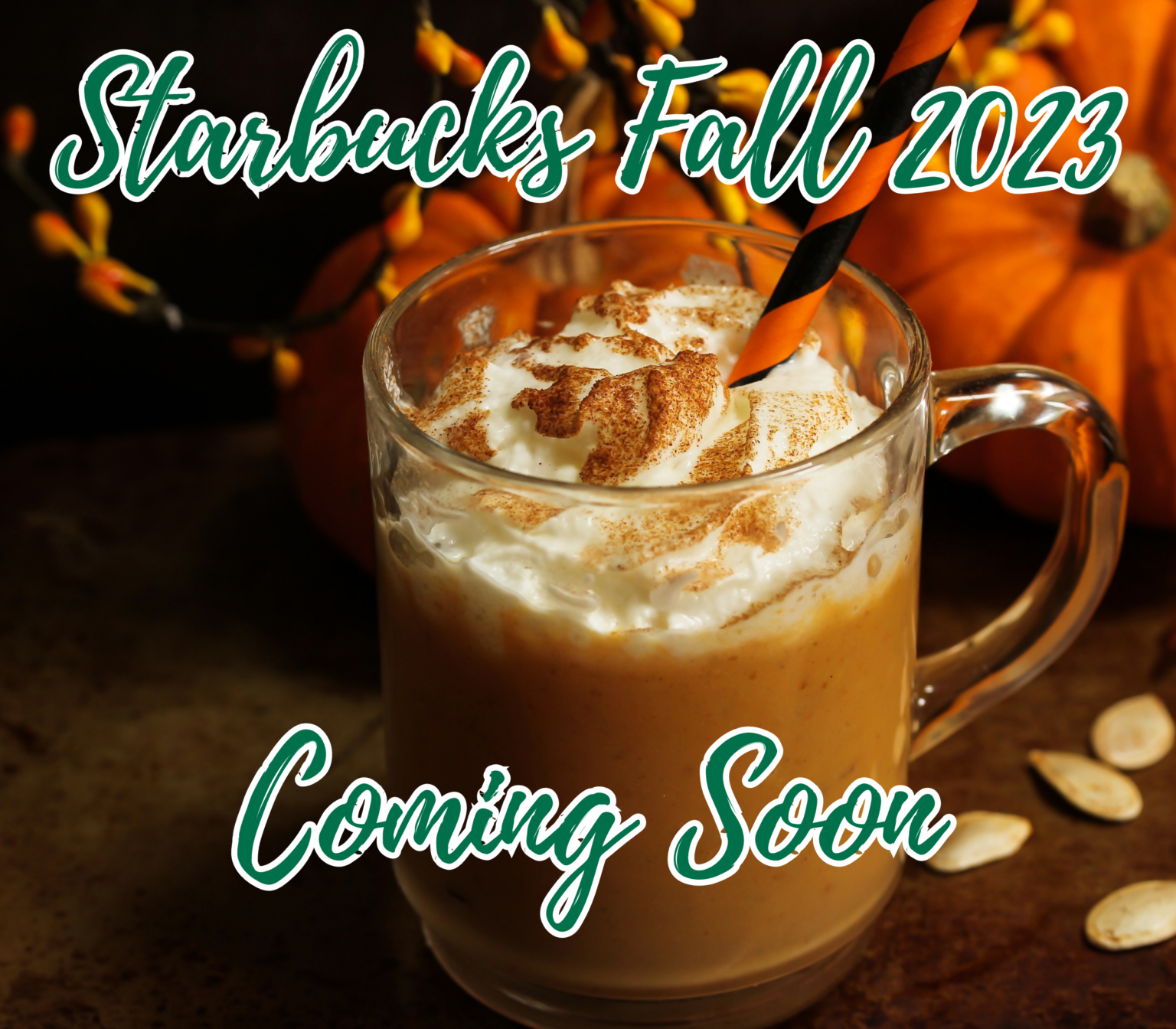 Starbucks Fall Drinks 2023 Release Date and New Drinks Preview - Home ...